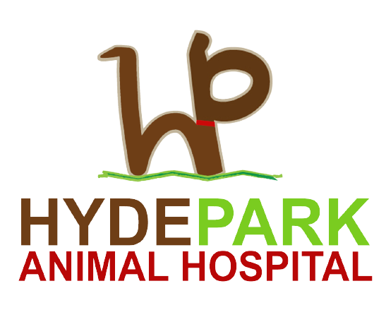 Pet Appointment | Companion Hyde Park Animal Hospital & Clinic