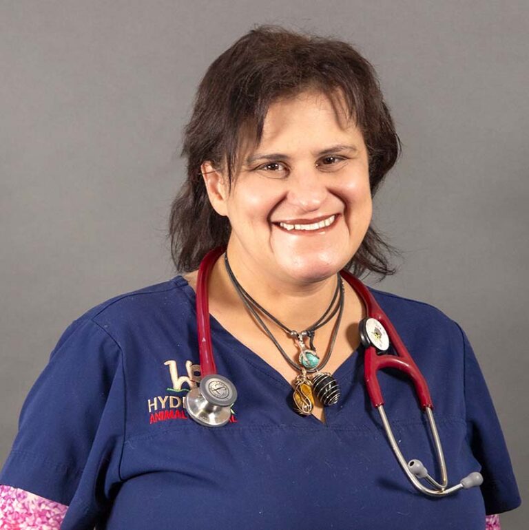 Stephanie | Hyde Park Animal Hospital